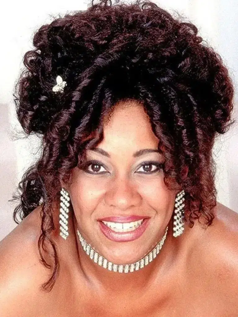 Chaka T Biography: Wiki, Age, Career, Height, Weight, Husband, Net ...